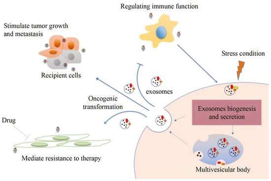 The Advances and Applications of Characterization Technique for ...