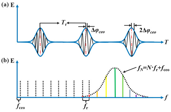 Recent Advances, Applications, and Perspectives in Erbium-Doped Fiber Combs