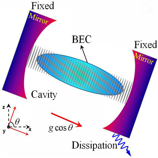 Quantum Dynamics of Cavity–Bose–Einstein Condensates in a Gravitational ...