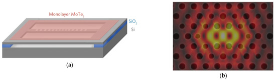 On-Chip Lasers for Silicon Photonics