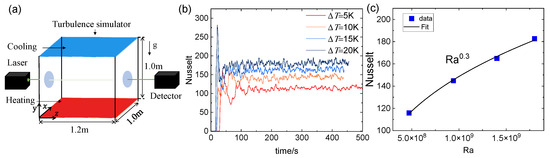 Spatial Fluctuations of Optical Turbulence Strength in a Laboratory Turbulence Simulator