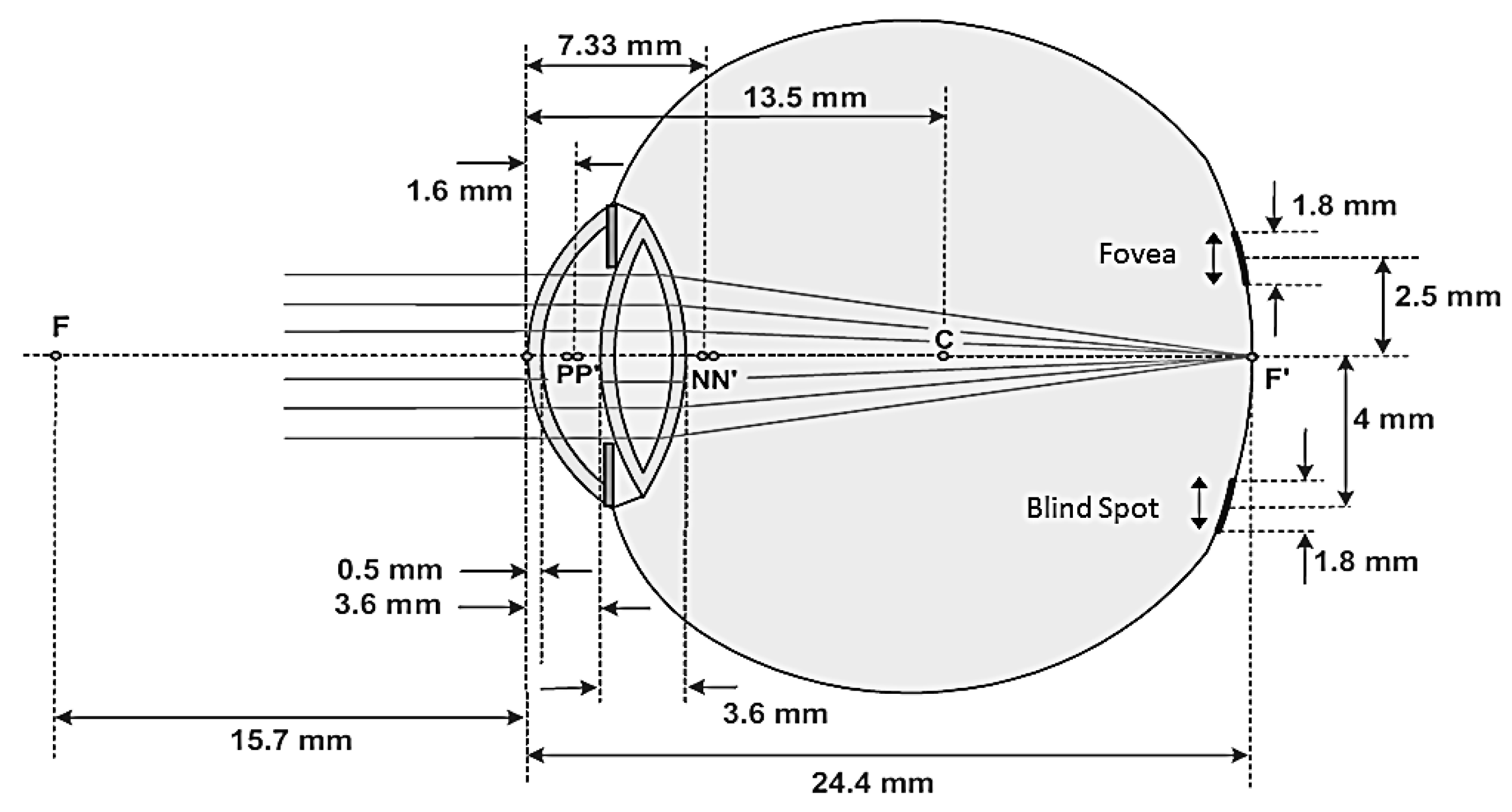 Photonics | Free Full-Text | An Optically Augmented Visual Aid for ...