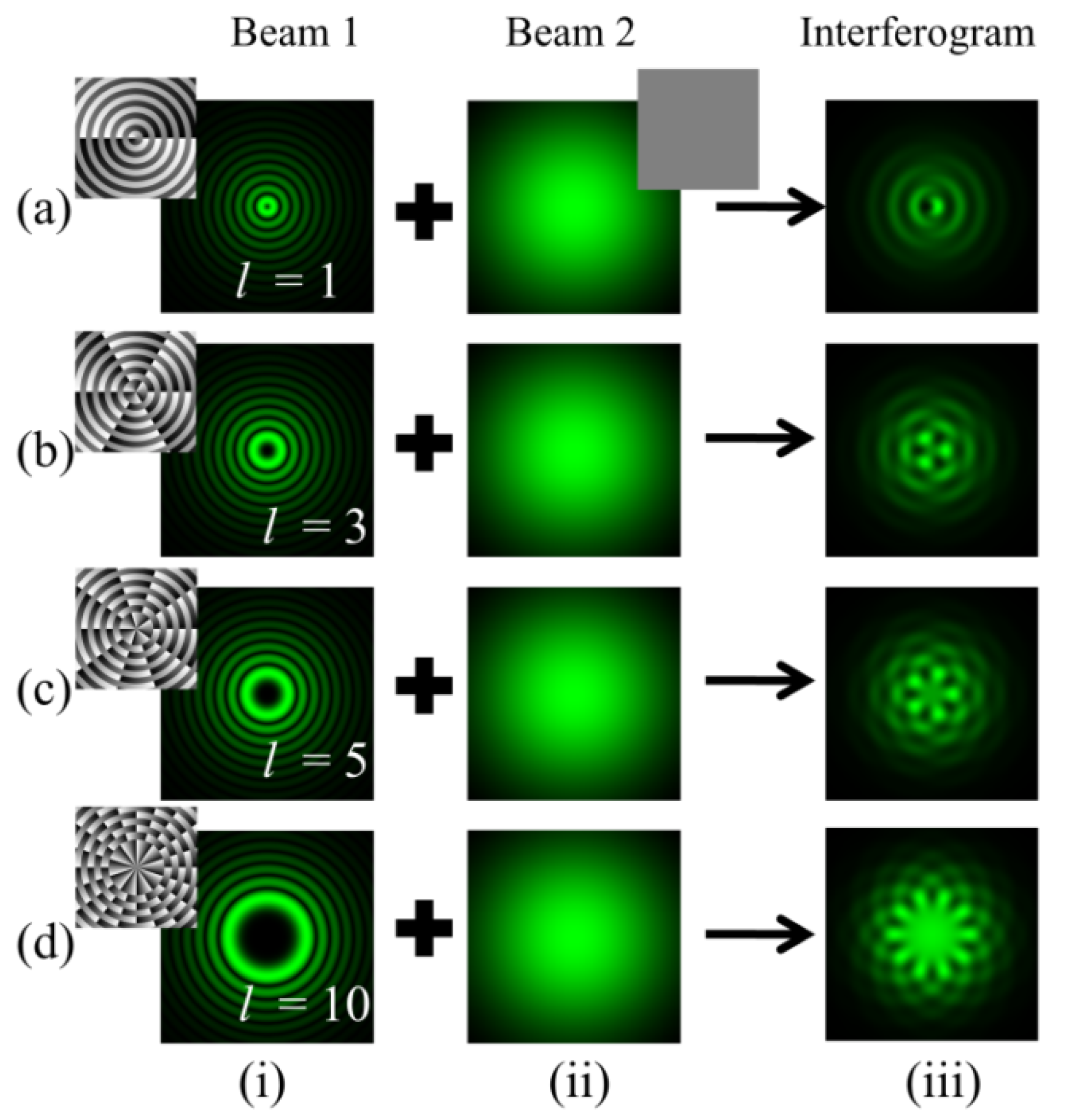 Determining Topological Charge of Bessel-Gaussian Beams Using Modified Mach-Zehnder Interferometer