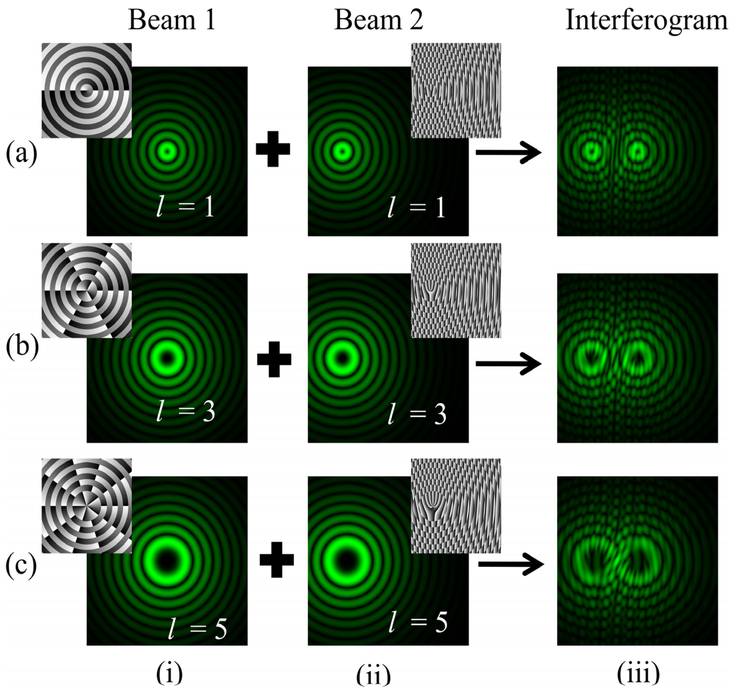 Determining Topological Charge of Bessel-Gaussian Beams Using Modified ...