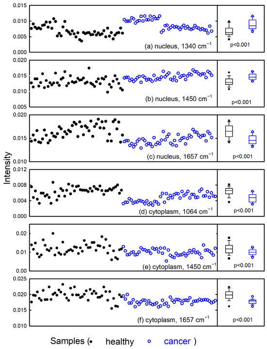 Classifying Raman Spectra of Colon Cells Based on Machine Learning Algorithms