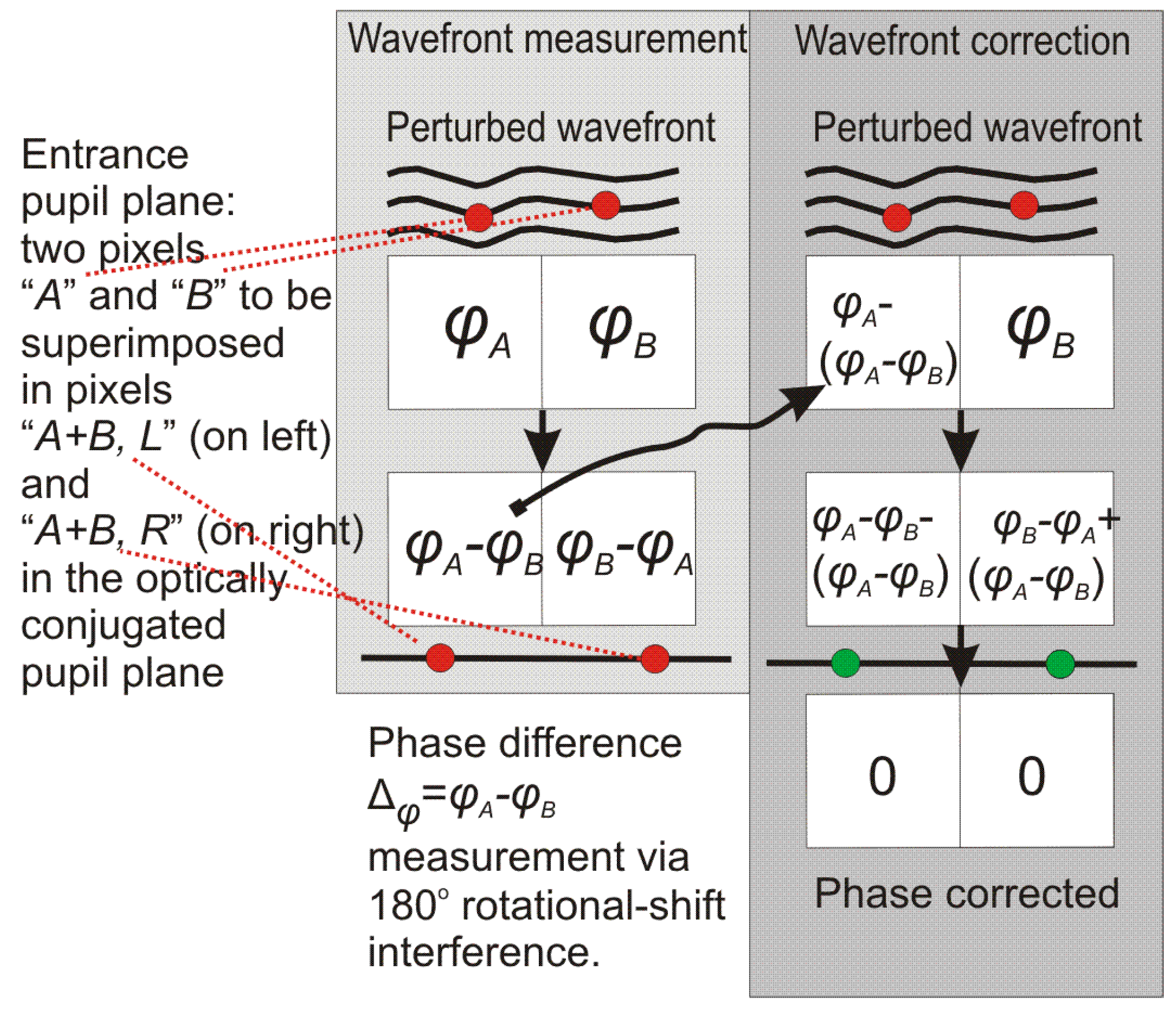 Control of the Optical Wavefront in Phase and Amplitude by a Single LC-SLM in a Stellar ...