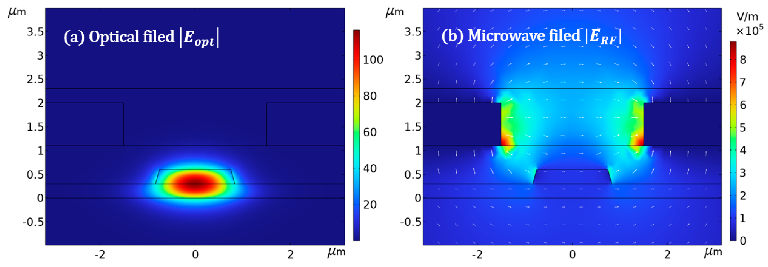 Broadband Thin-Film Lithium Niobate Electro-Optic Modulator