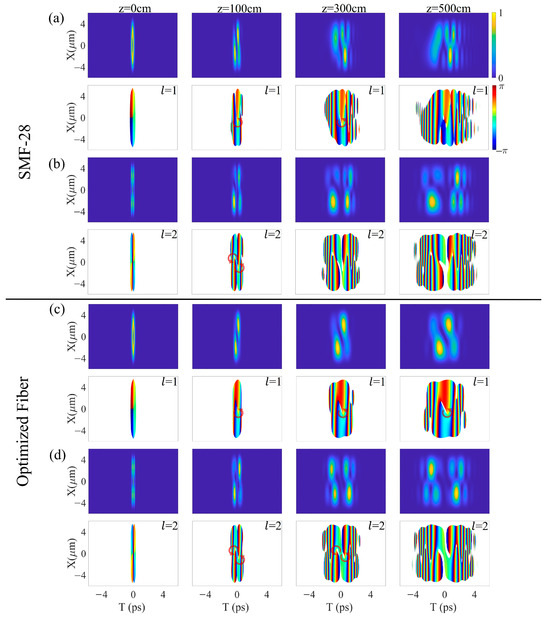 Optimization of Transverse OAM Transmission through Few-Mode Fiber