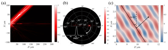 Polarization-Dependent Fiber Metasurface with Beam Collimating and ...