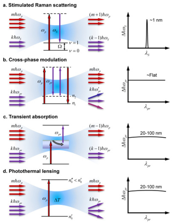 Stimulated Raman Scattering Microscopy: A Review