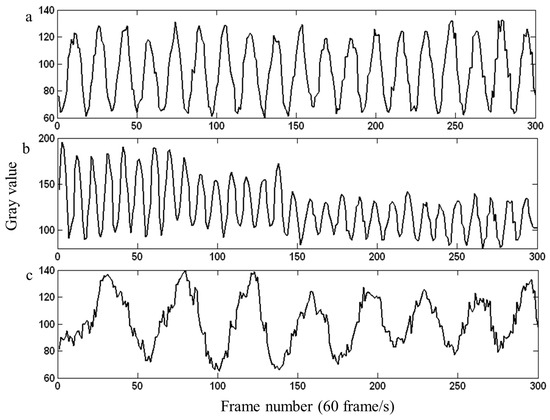 Temporal Analysis of Speckle Images in Full-Field Interferometric and ...