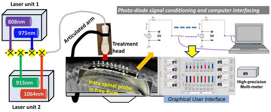 Transcutaneous Transmission of Light of Photobiomodulation Therapy ...