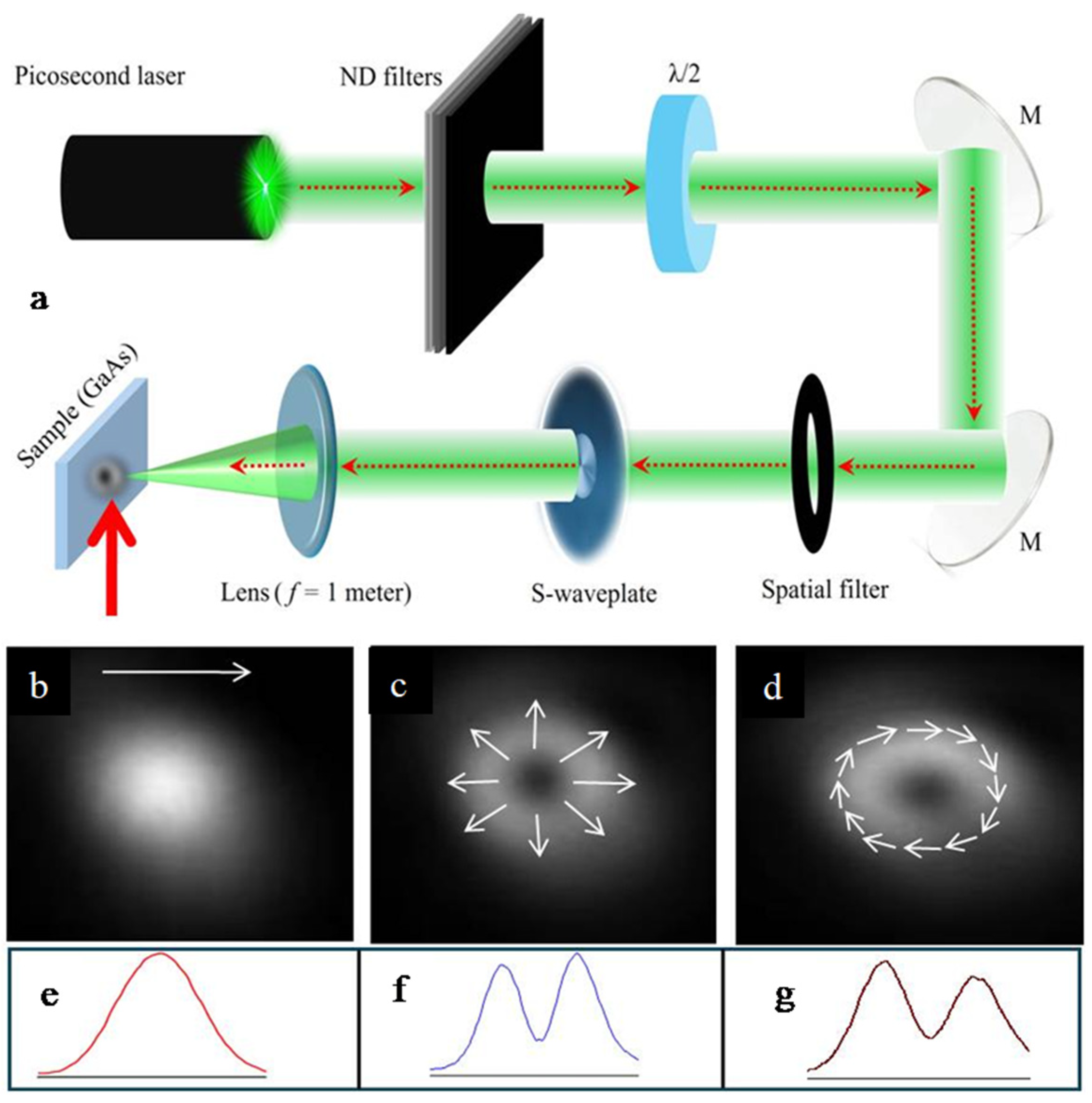 Spatially Variable Ripple and Groove Formation on Gallium Arsenide Using Linear, Radial, and ...