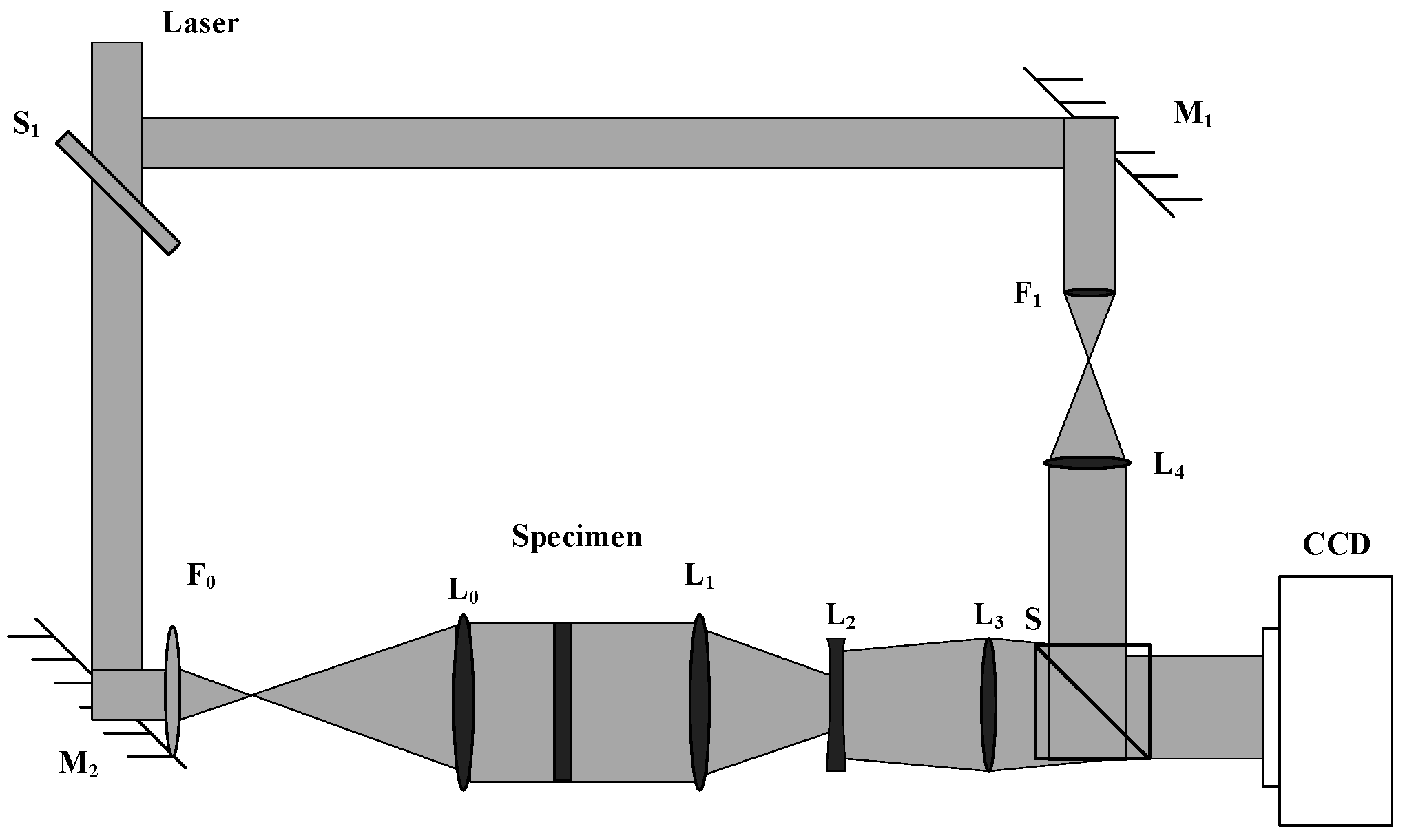 Experimental Study on the Reconstruction of a Light Field through a Four-Step Phase-Shift Method ...