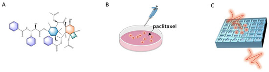 The Rapid Detection of Paclitaxel-Induced Changes in Cervical Cancer ...