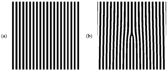 Polarization-Mode Transformation of the Light Field during Diffraction ...