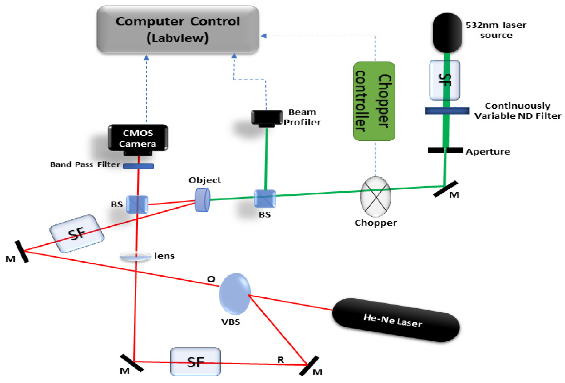 Digital Holographic Interferometry for Micro-Deformation Analysis of Morpho Butterfly Wing