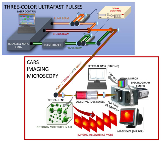 Nonlinear Optical Microscopic Imaging for Real-Time Gaseous Chemical ...