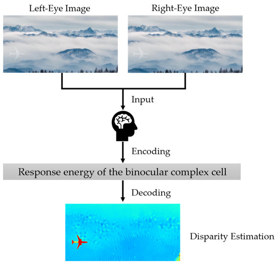 Camouflage Breaking with Stereo-Vision-Assisted Imaging