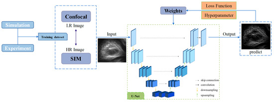 Real-Time Resolution Enhancement of Confocal Laser Scanning Microscopy ...