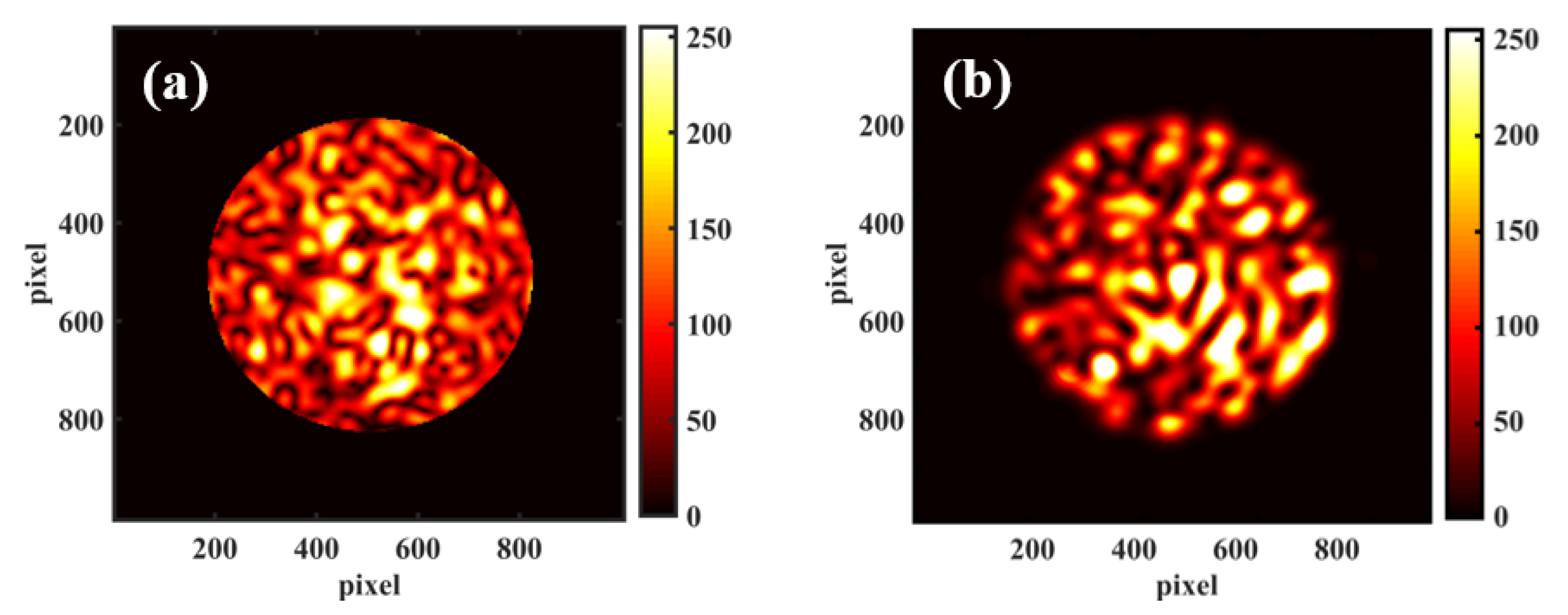 Influence of Optical Fiber Parameters on the Speckle Pattern and Spectral Observation in Astronomy