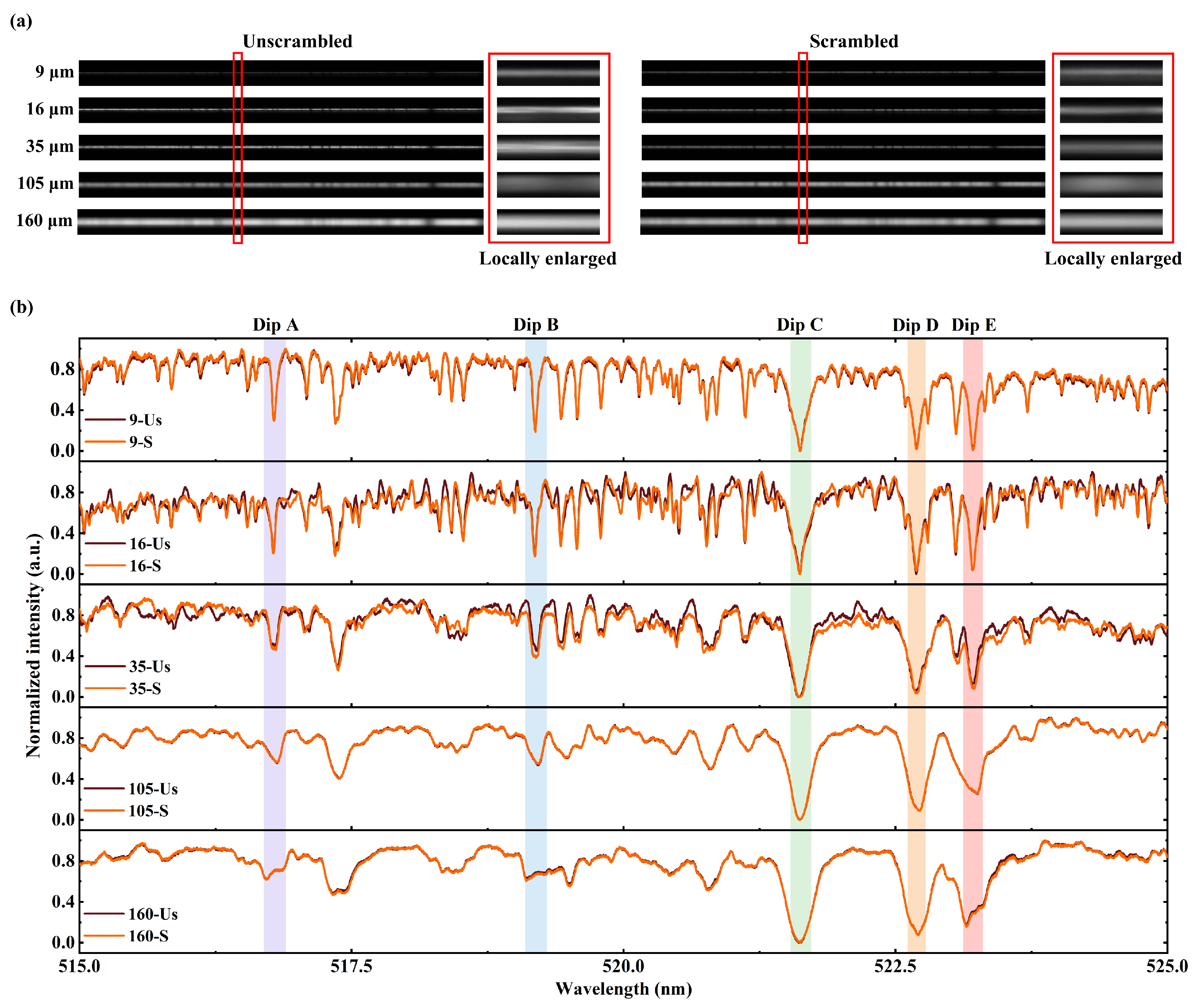 Influence of Optical Fiber Parameters on the Speckle Pattern and ...