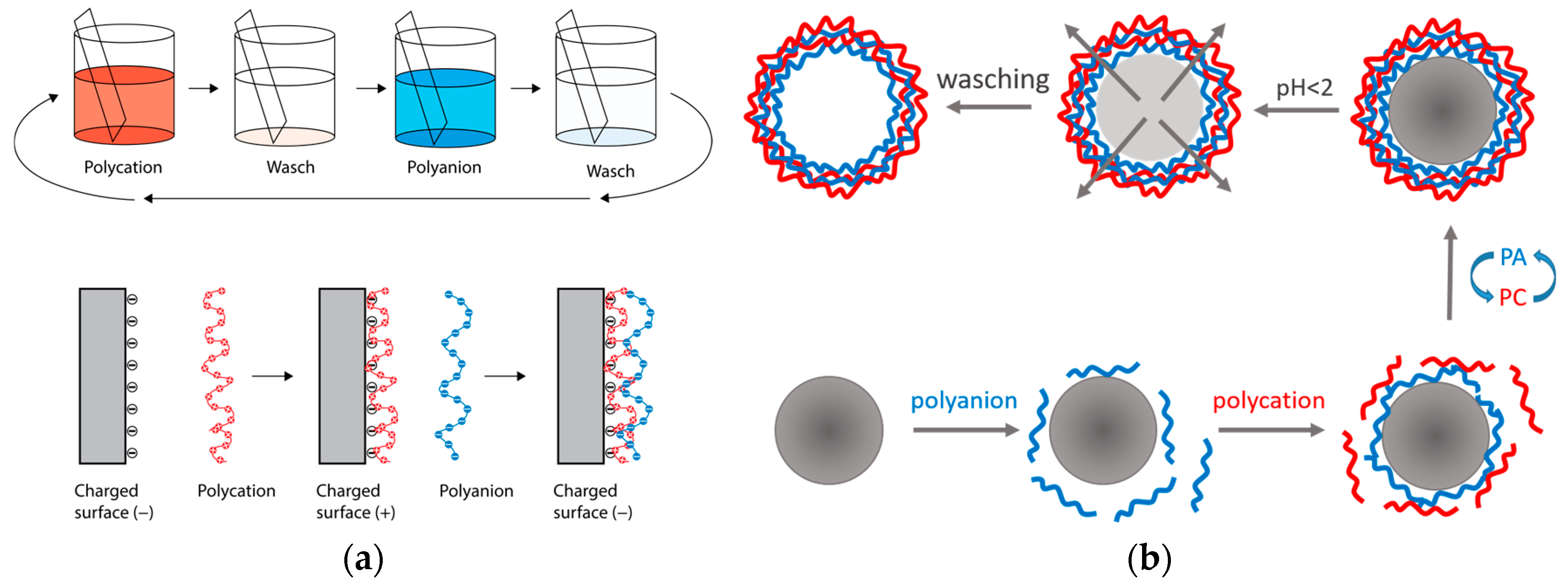 Quantitative Investigation of Layer-by-Layer Deposition and Dissolution ...