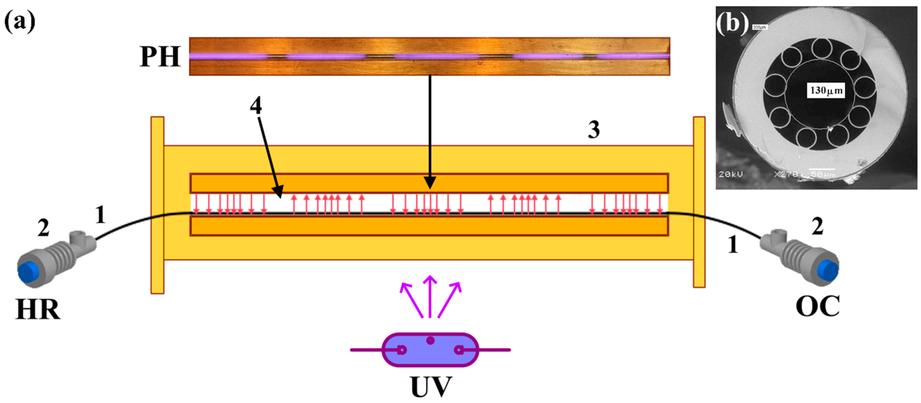 He-Kr Gas-Discharge Laser Based on Hollow-Core Fiber