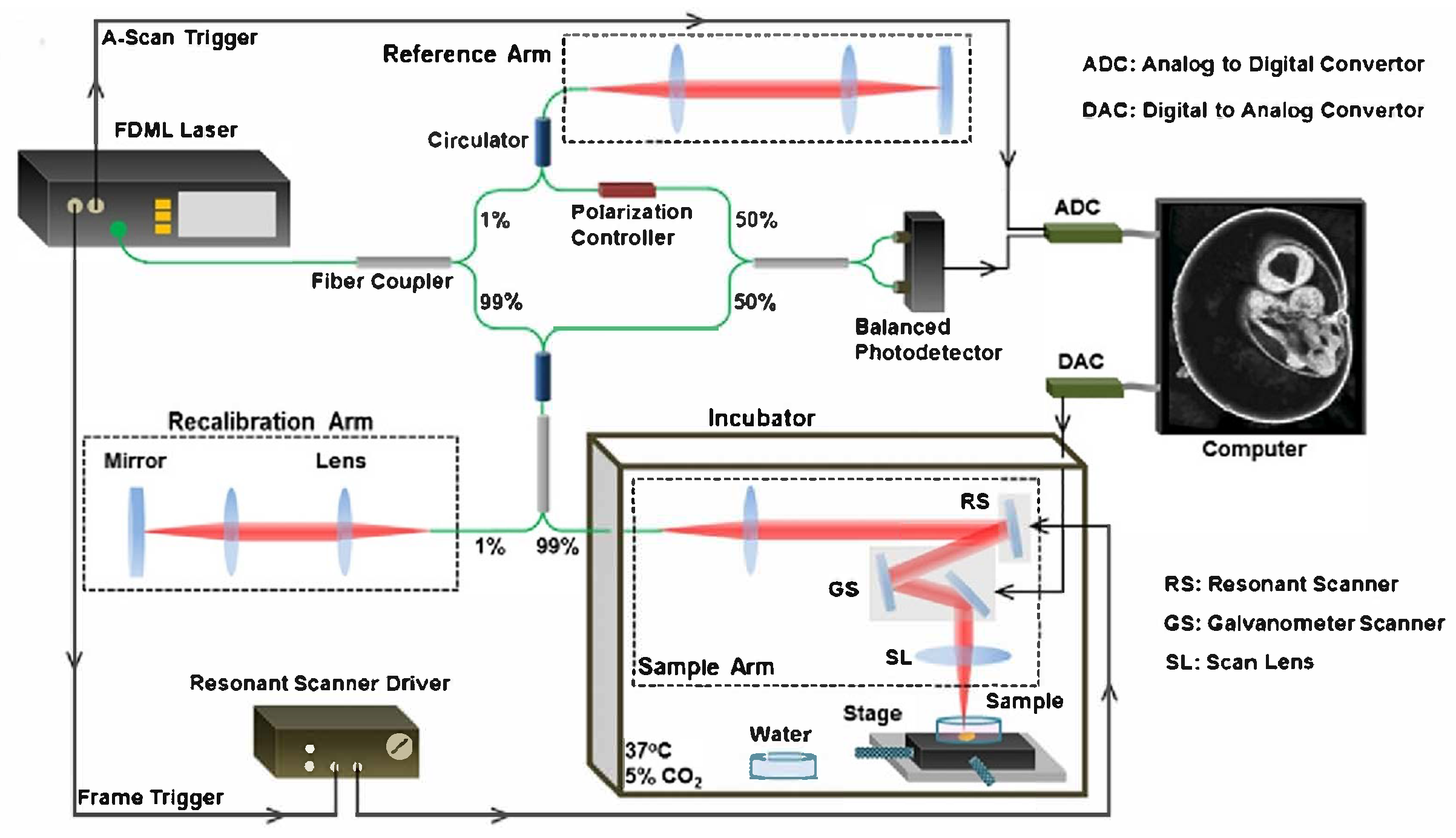 Recent Development of Fourier Domain Mode-Locked Laser