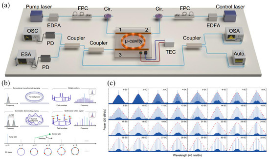 Advances in Soliton Crystal Microcombs