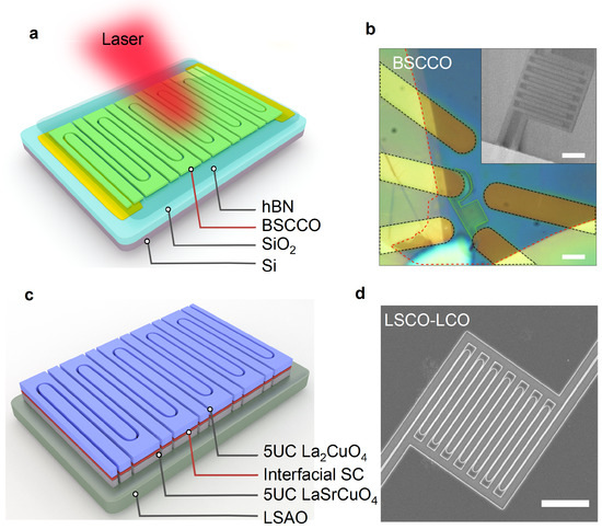 Single-Photon Detectors for Quantum Integrated Photonics
