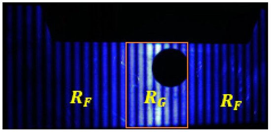 A Simple Polarization-Based Fringe Projection Profilometry Method for ...
