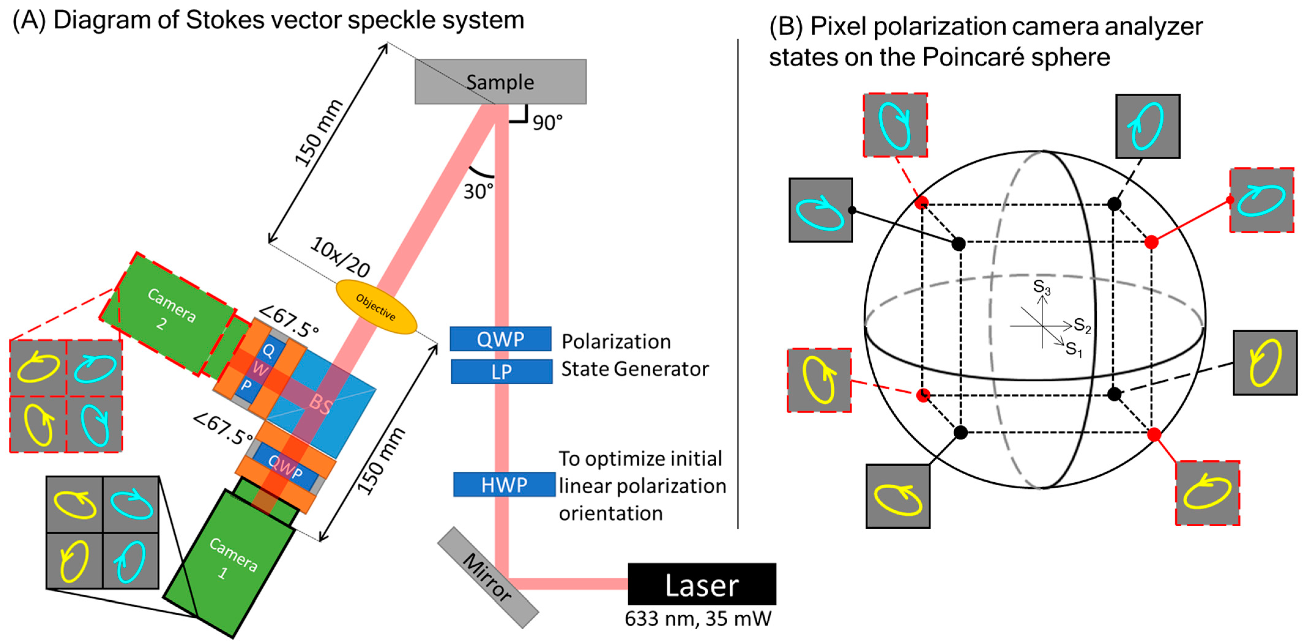 Snapshot Imaging of Stokes Vector Polarization Speckle in Turbid ...