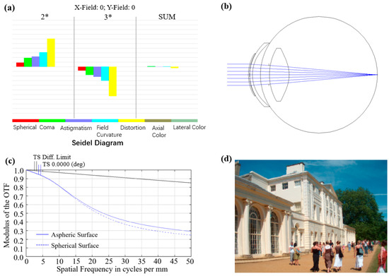 Design and Fabrication of Orthokeratology Lens with Multi-Linear and ...
