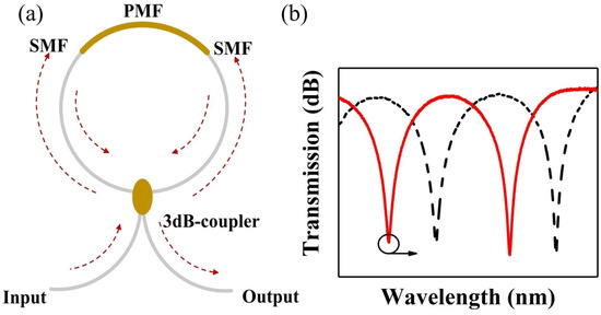 Sagnac Interference-Based Contact-Type Fiber-Optic Vibration Sensor
