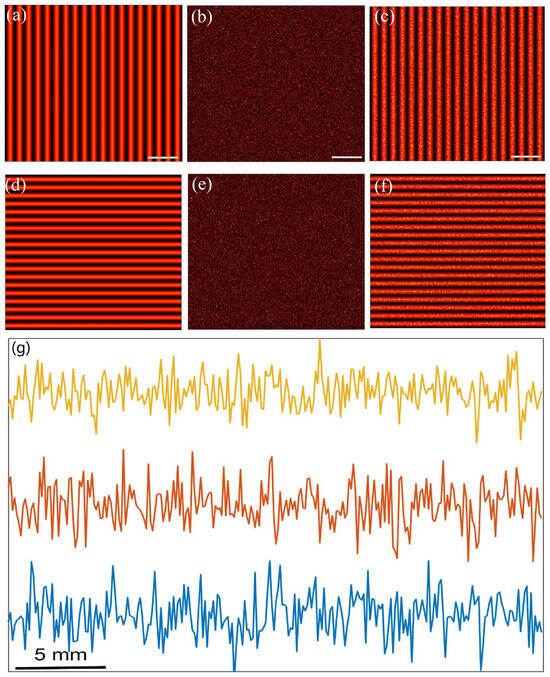 Structured Light Field Recovery from Dynamic Scattering Media