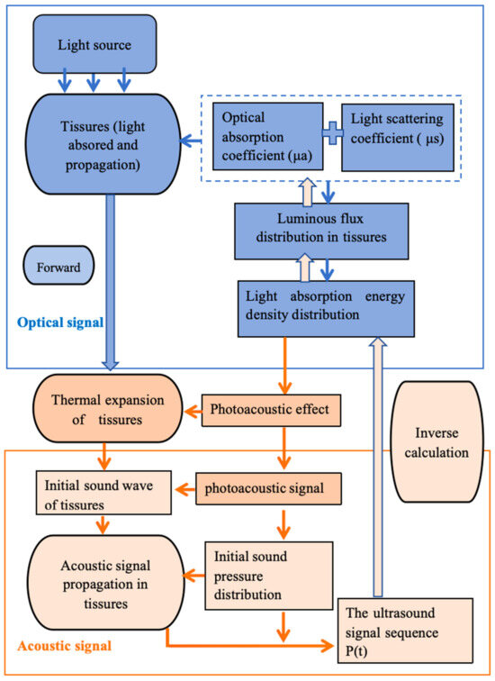 Photoacoustic Imaging in Visualization of Acupuncture Mechanisms