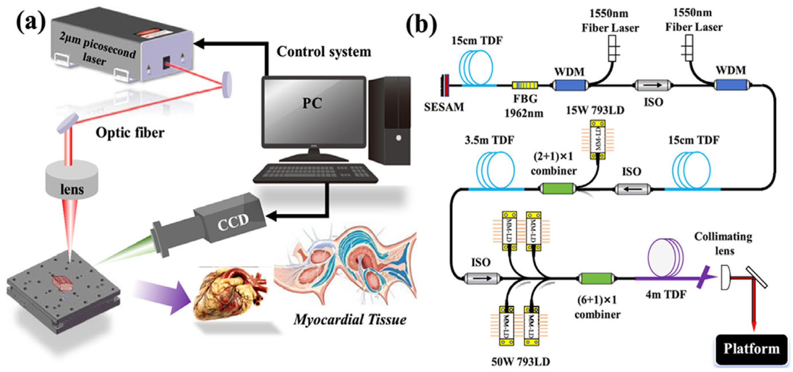 Frontier Advances and Challenges of High-Power Thulium-Doped Fiber Lasers in Minimally Invasive ...