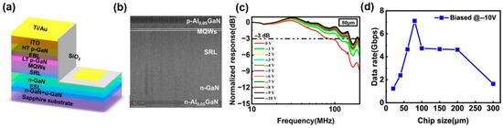 Recent Progress in GaN-Based High-Bandwidth Micro-LEDs and ...