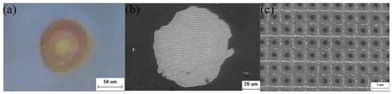 Thermal Damage Characterization of Detector Induced by Nanosecond ...