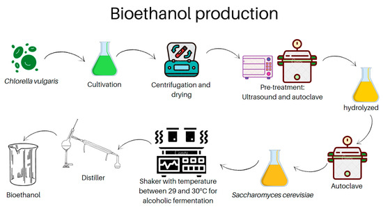 Cultivation of Microalgae Chlorella vulgaris in Open Reactor for ...