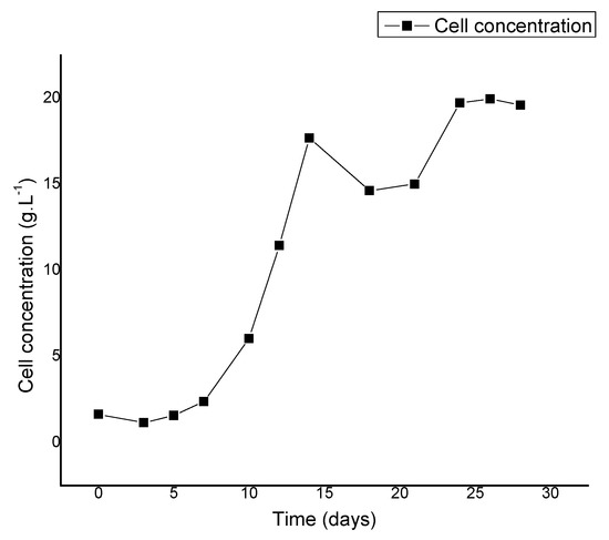 Cultivation of Microalgae Chlorella vulgaris in Open Reactor for ...
