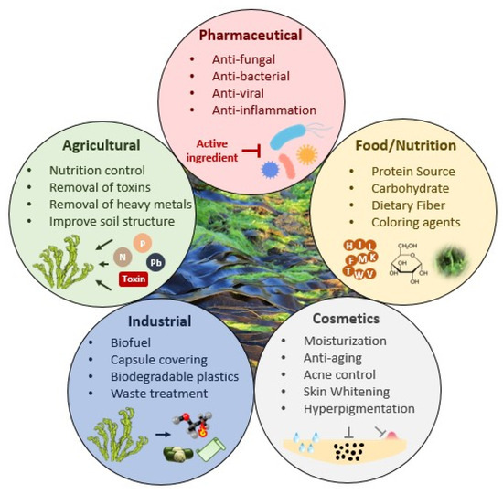 Innovative Processing and Industrial Applications of Seaweed