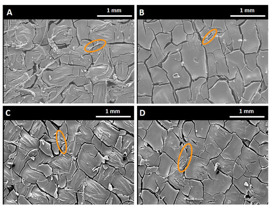 Non-Conventional Hybrid Microporous Layers for Enhanced Performance and ...