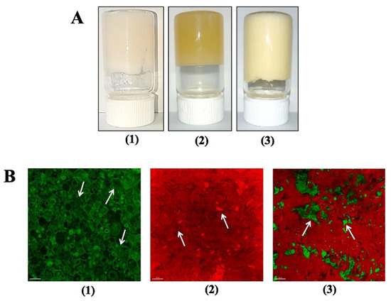Physchem | Free Full-Text | Green Materials for Gel Formulation: Recent ...
