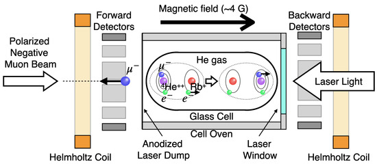 Present Status of Spectroscopy of the Hyperfine Structure and ...