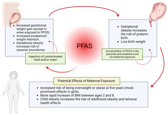 Per- and Polyfluoroalkyl Substances (PFAS) as Emerging Obesogens ...