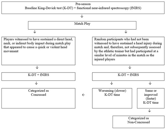 Measuring Brain Haemodynamic Activity and Afferent Visual Function: A ...