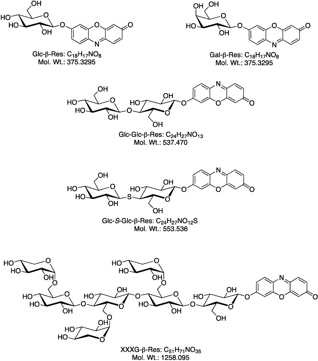 Glycoside Hydrolase Activities in Cell Walls of Sclerenchyma Cells in ...