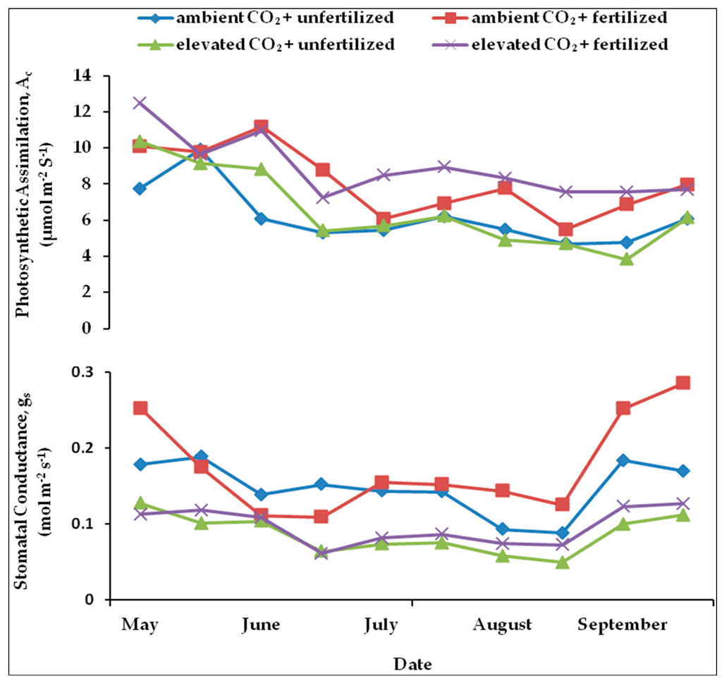 Interaction Effect between Elevated CO2 and Fertilization on Biomass ...